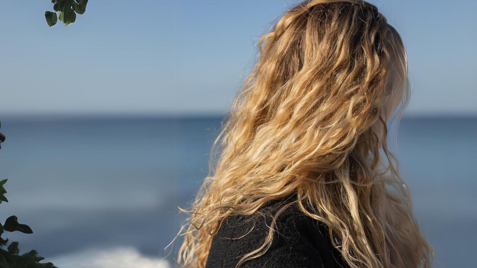 ZENZ Blog | 8 tips to enhance natural curls | ZENZ Organic